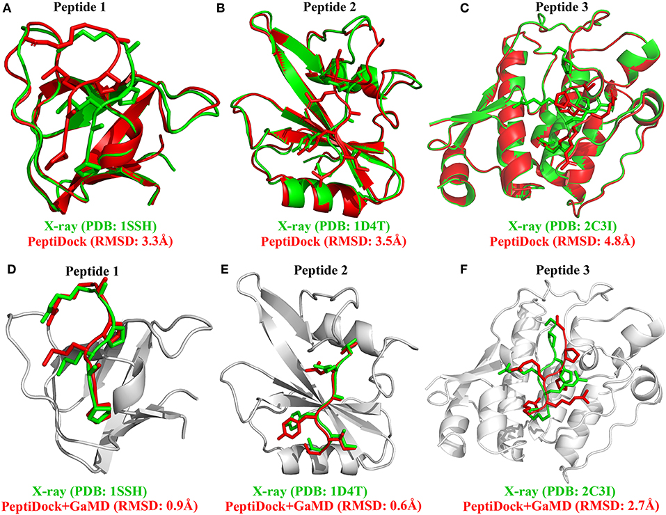 Frontiers | Improved Modeling of Peptide-Protein Binding Through Global ...
