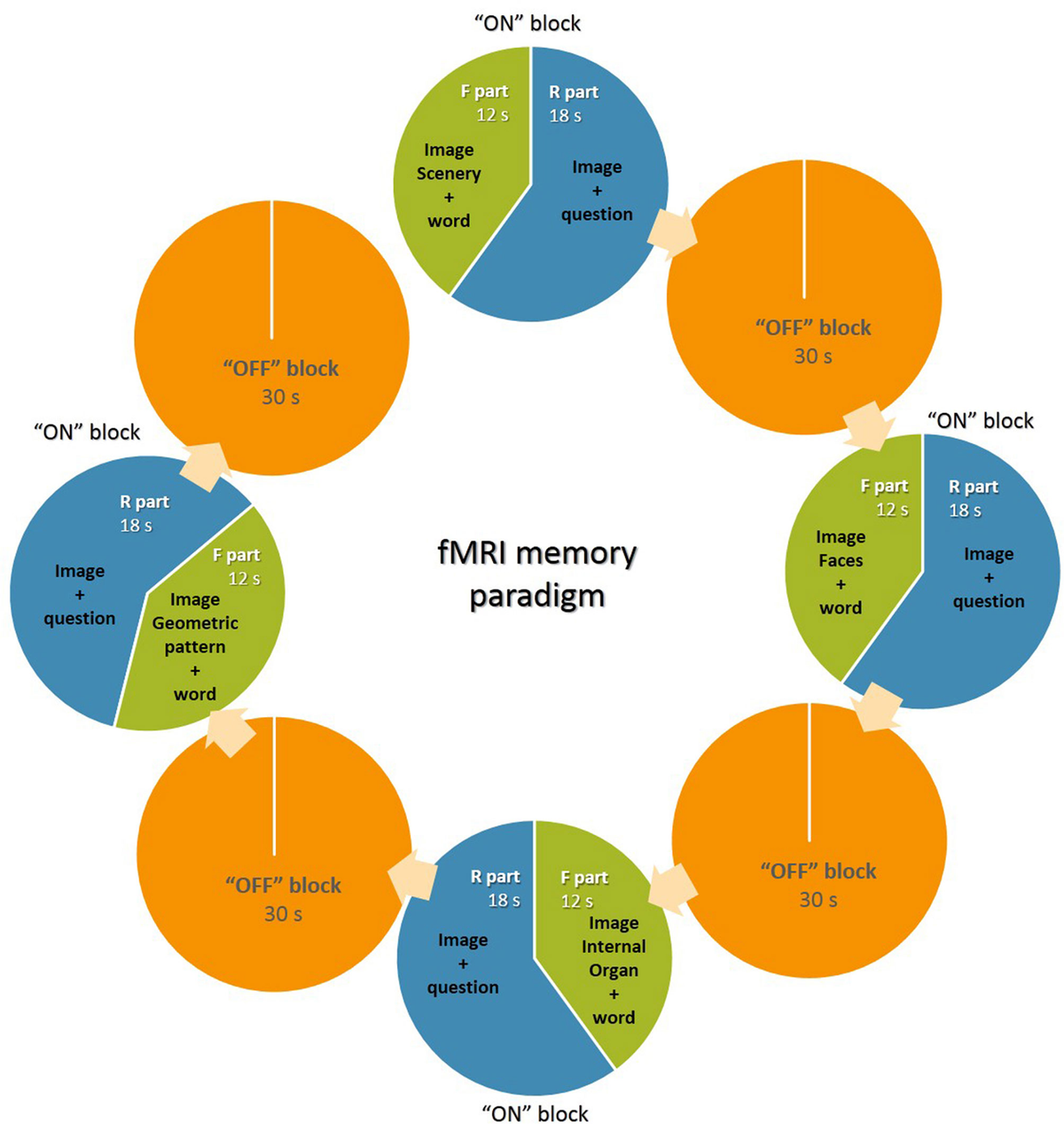 Frontiers | An fMRI Study of Adult Brain Cortical Activation Following ...