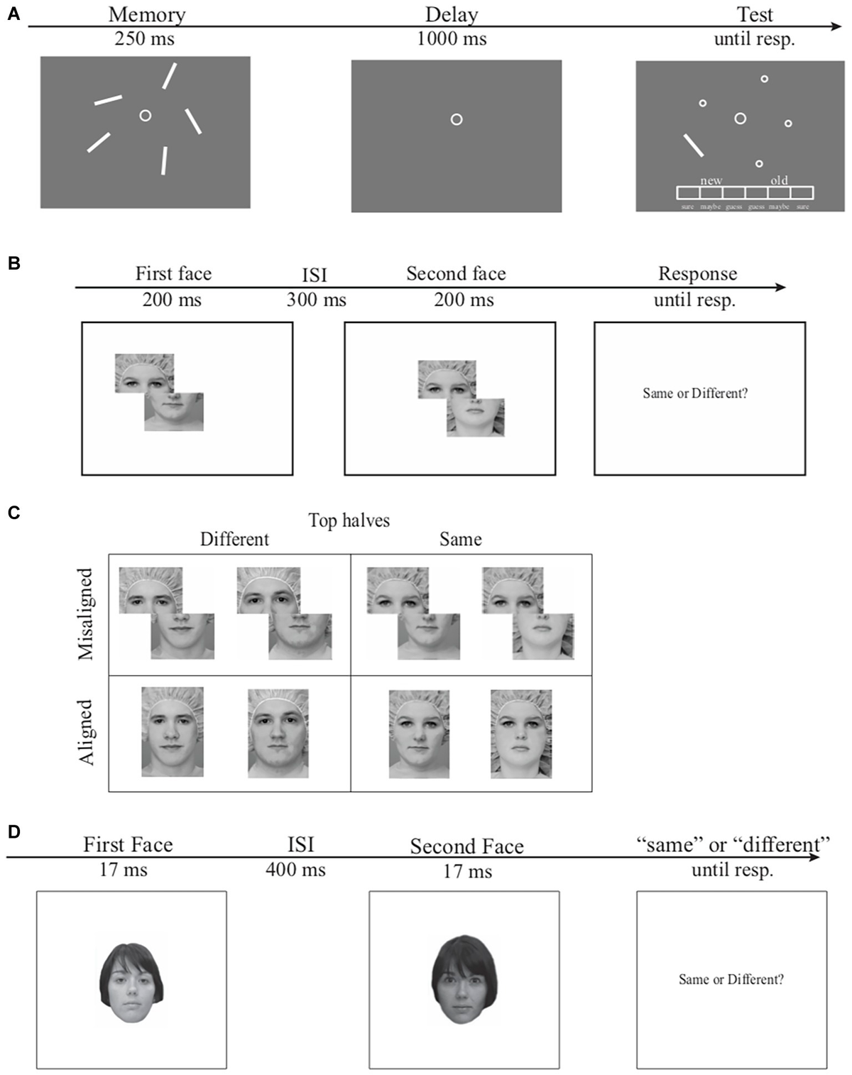 Frontiers | Composite Face Effect Predicts Configural Encoding in ...