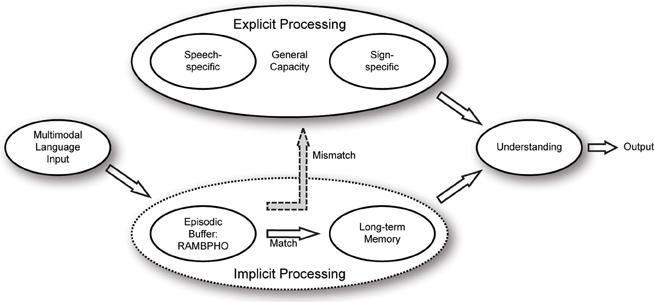 Frontiers | The Ease of Language Understanding (ELU) model: theoretical ...