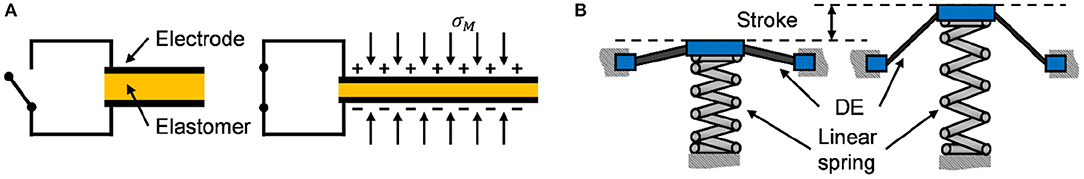 Frontiers | Modeling and Design Optimization of a Rotational Soft ...