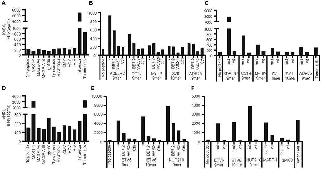 Frontiers | Cancer Neoepitopes for Immunotherapy: Discordance Between ...
