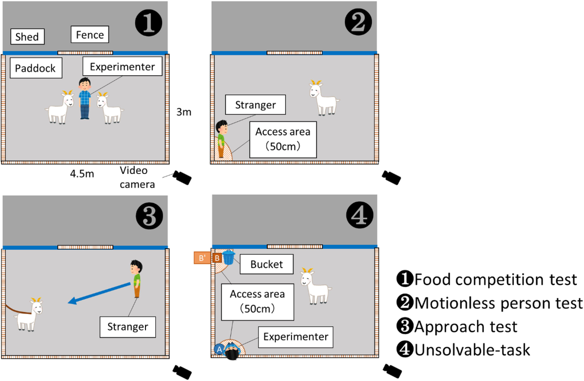 Frontiers | Goats’ Performance in Unsolvable Tasks Is Predicted by ...