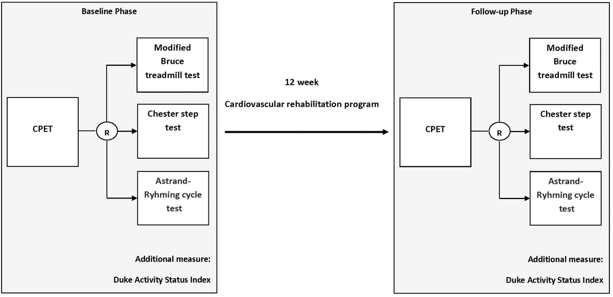 Frontiers | Submaximal Exercise Testing in Cardiovascular ...