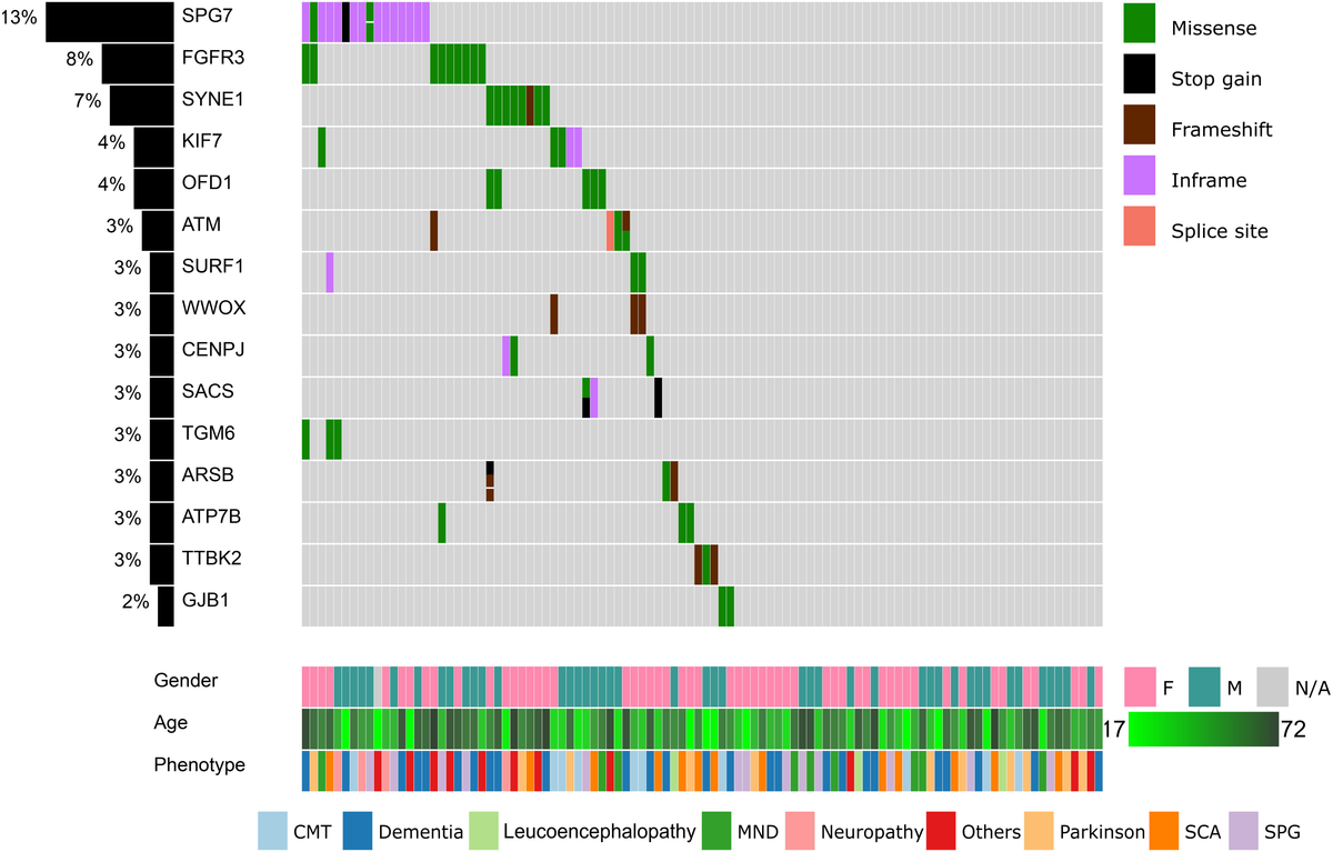 Frontiers | A Targeted Gene Panel That Covers Coding, Non-coding and Short Tandem Repeat Regions ...