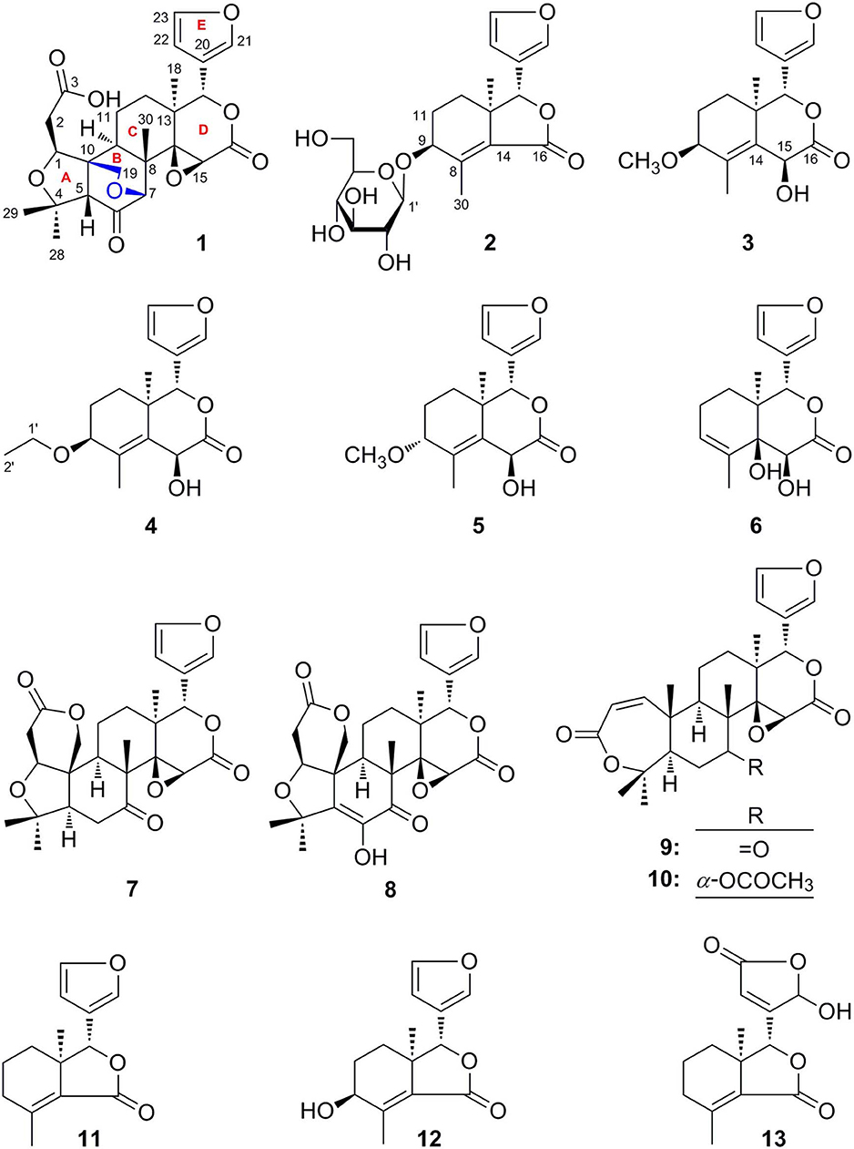 Frontiers | Anti-inflammatory Limonoids From Cortex Dictamni