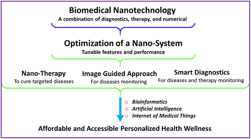 Frontiers | Biomedical Nanotechnology Related Grand Challenges and ...