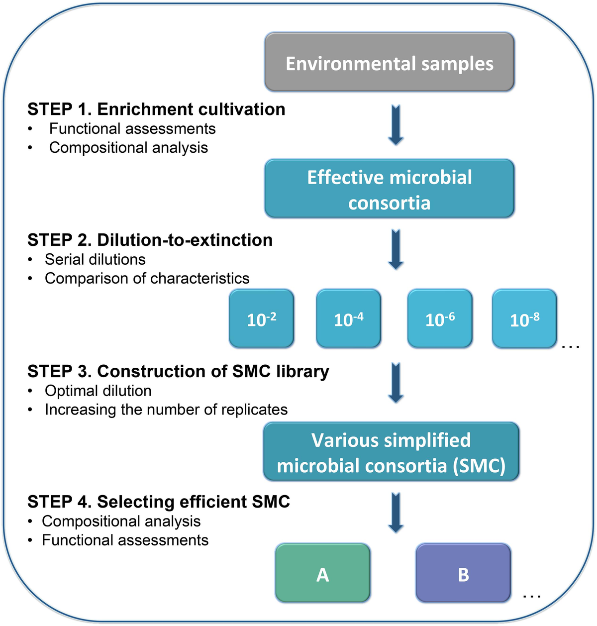 Frontiers | Construction of Simplified Microbial Consortia to Degrade ...