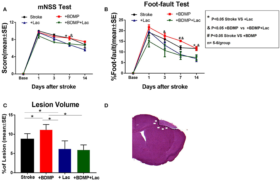 Frontiers | Brain-Derived Microparticles (BDMPs) Contribute to ...
