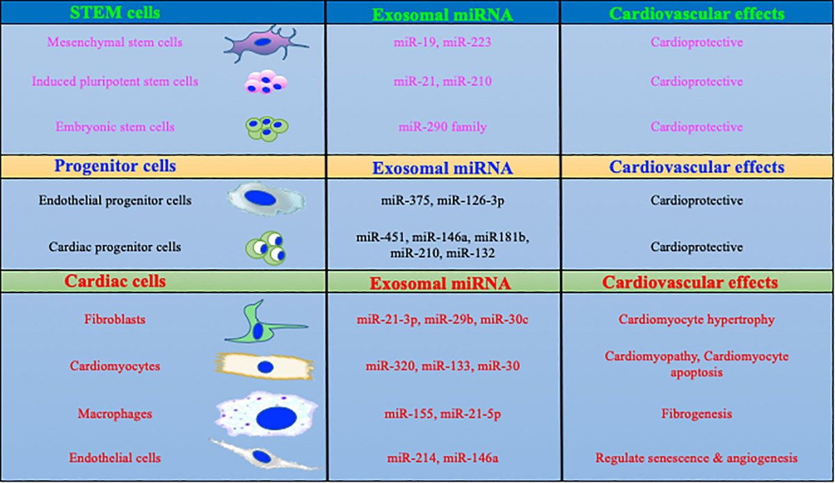 Frontiers | Cardiac Fibroblasts and Cardiac Fibrosis: Precise Role of ...