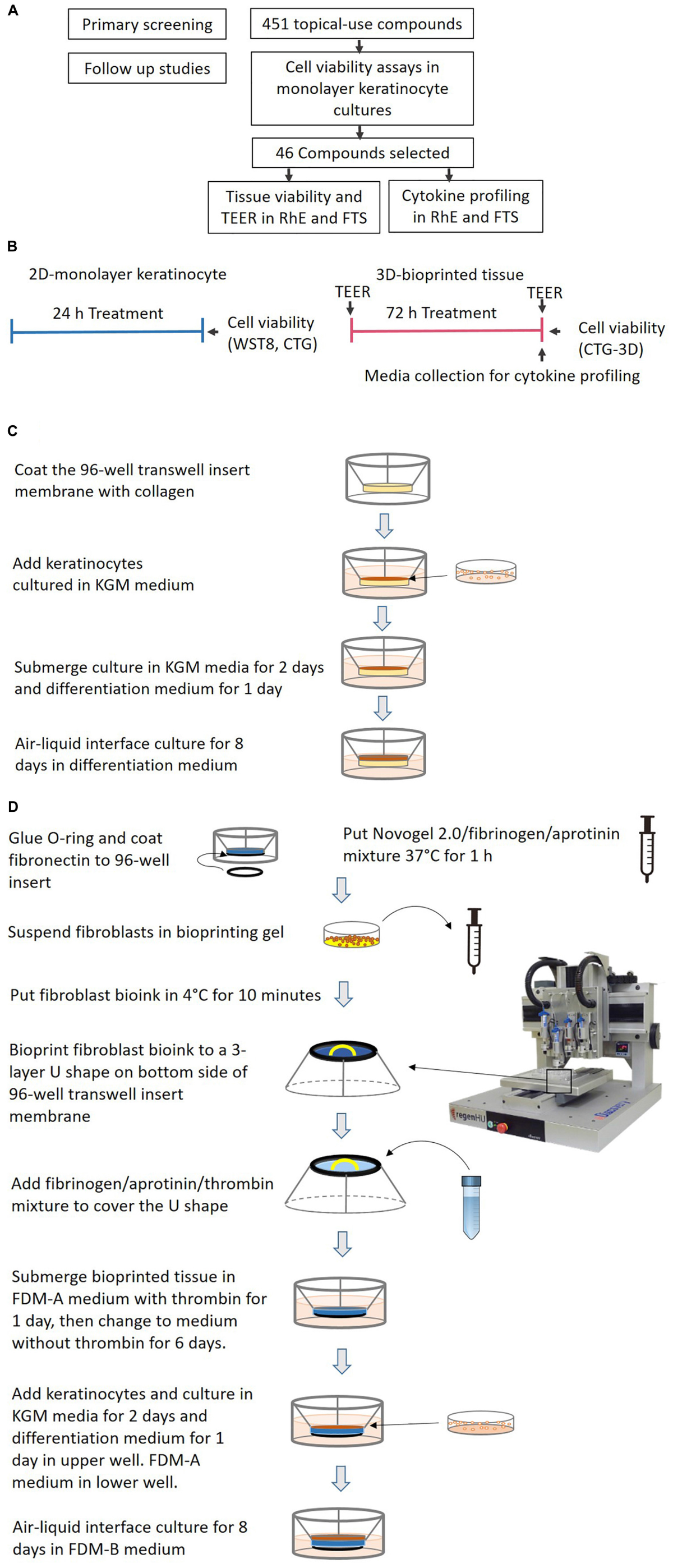 Frontiers | Two-Dimensional Cellular and Three-Dimensional Bio-Printed Skin Models to Screen ...