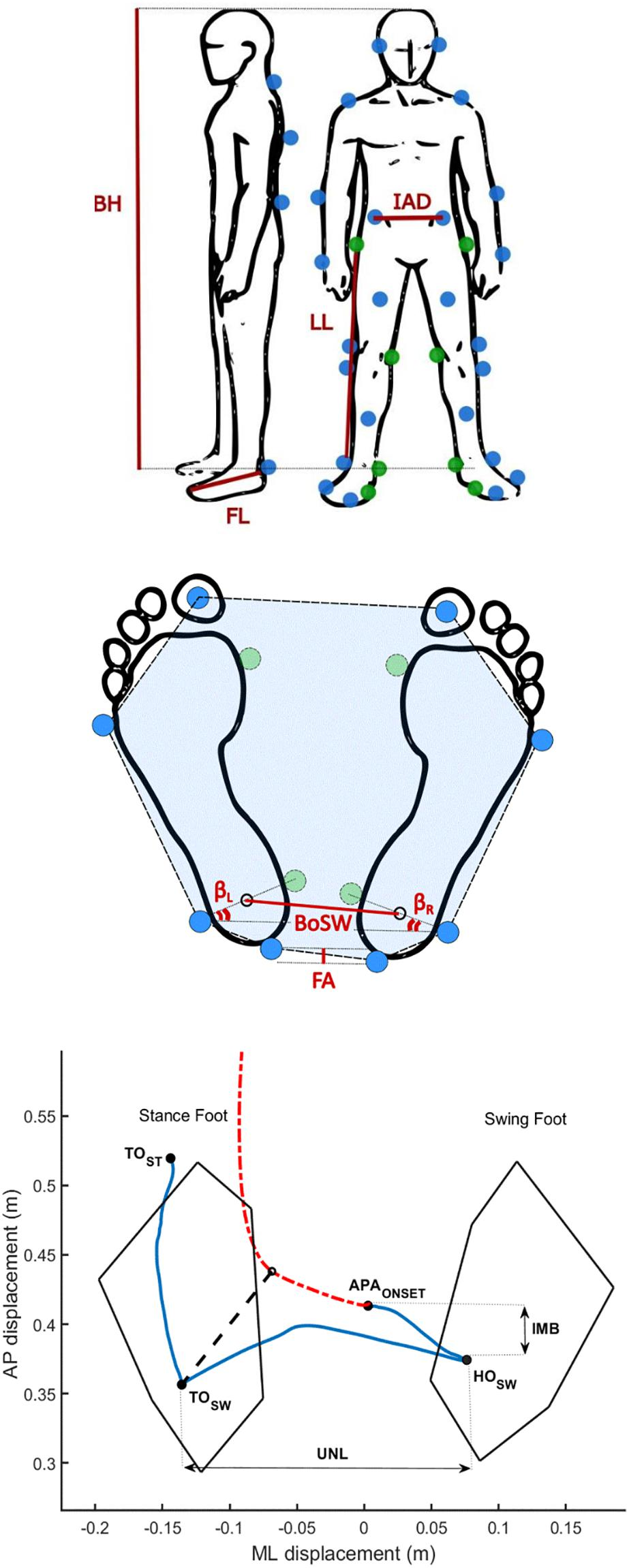 Frontiers | Gait Initiation in Parkinson’s Disease: Impact of Dopamine ...