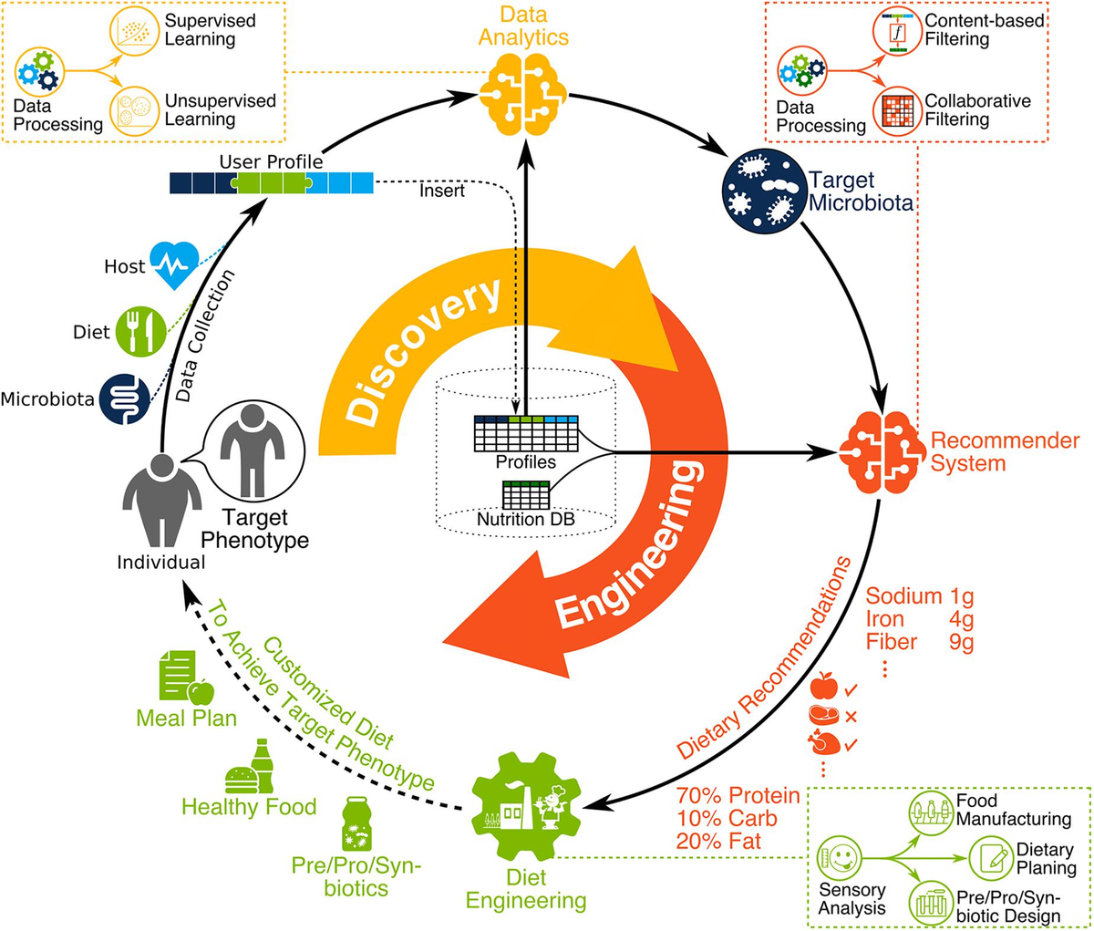 Frontiers | The Computational Diet: A Review of Computational Methods ...