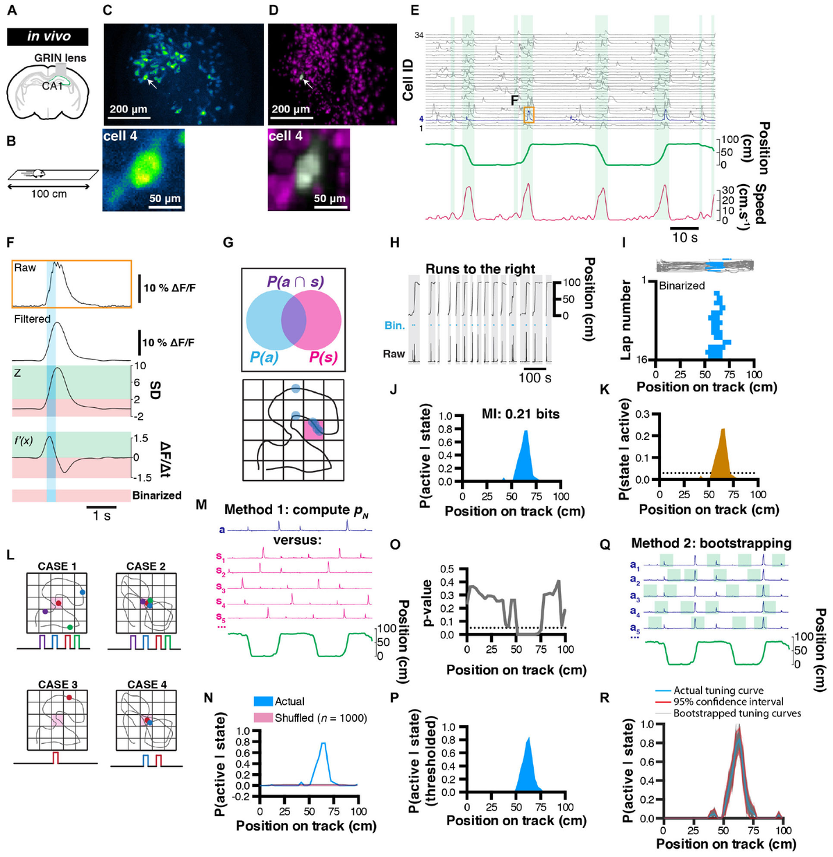 Frontiers | A Probabilistic Framework for Decoding Behavior From in ...