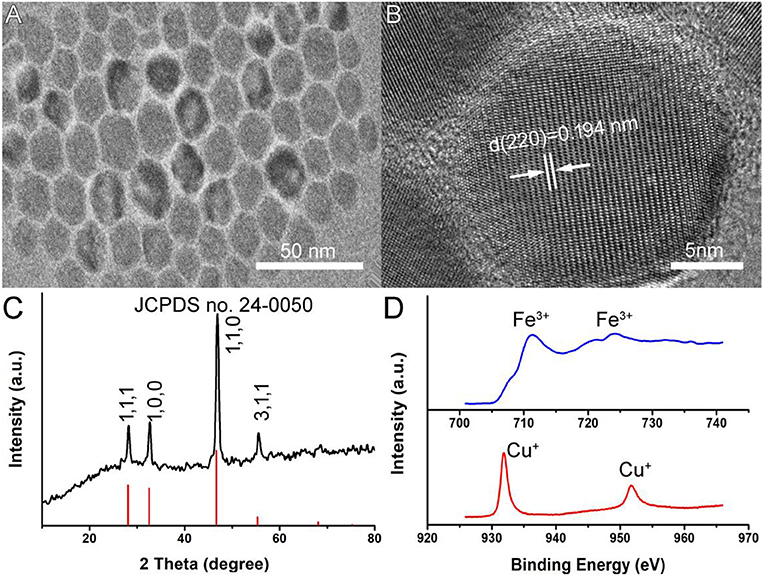 Frontiers | Cu5FeS4 Nanoparticles With Tunable Plasmon Resonances for ...