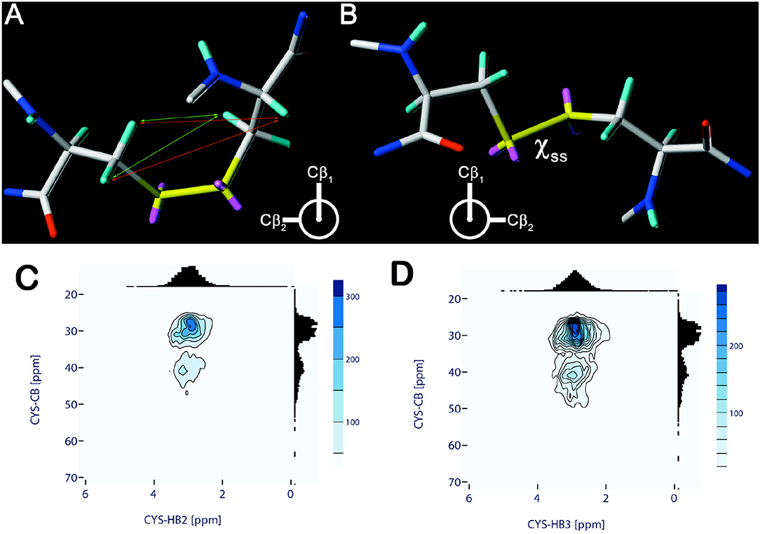 Frontiers | Cysteines and Disulfide Bonds as Structure-Forming Units ...