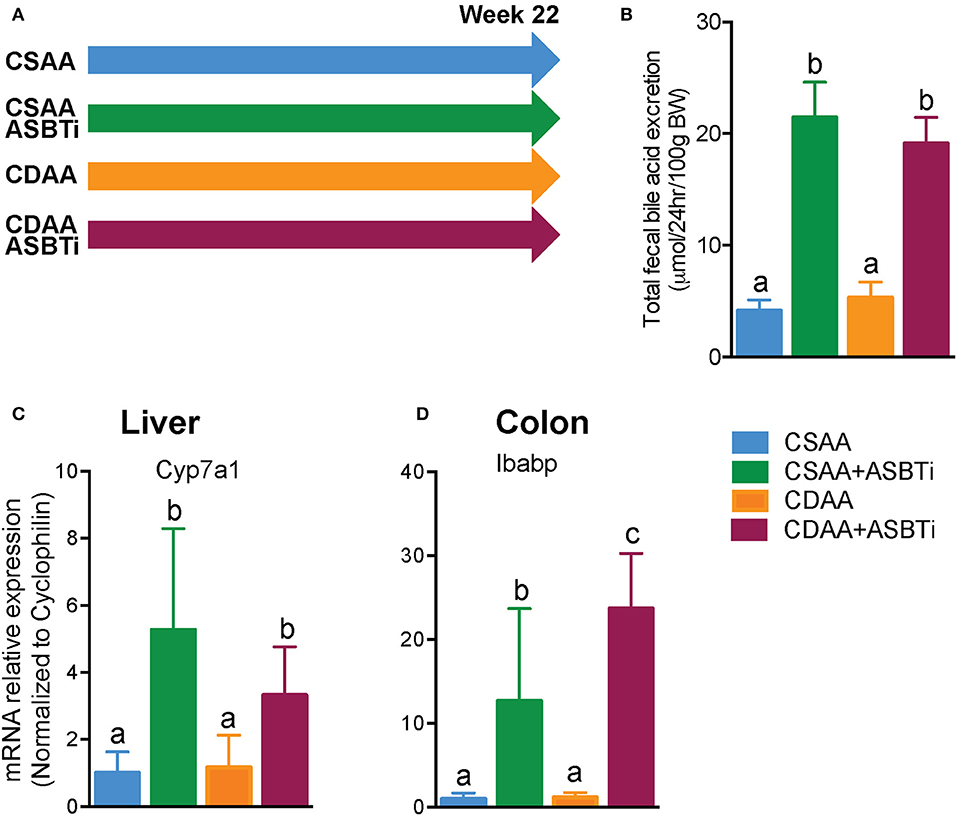Frontiers | Attenuation of the Hepatoprotective Effects of Ileal Apical ...