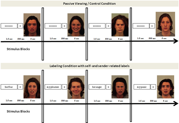 Frontiers | Your emotion or mine: labeling feelings alters emotional ...