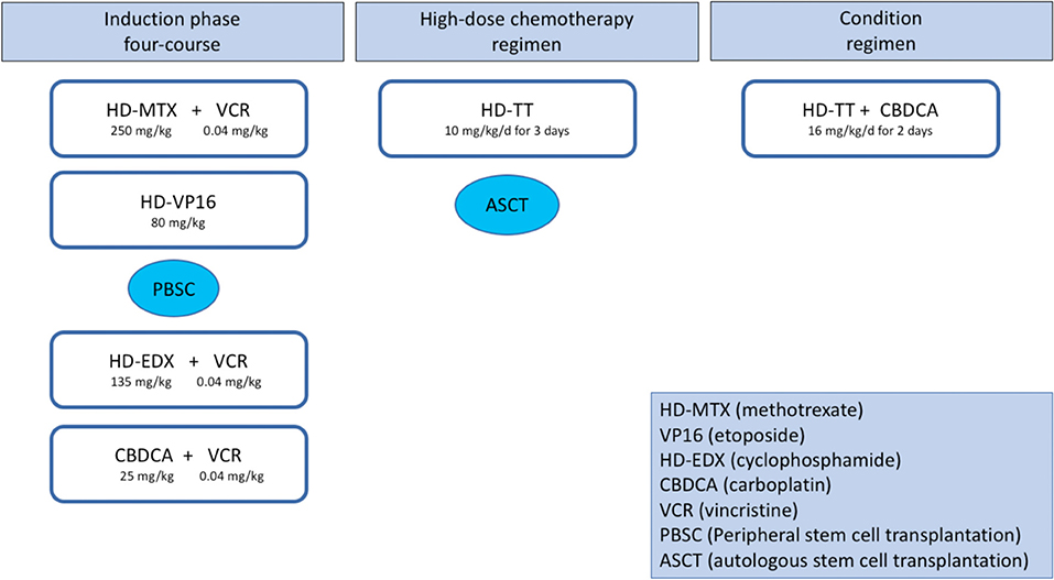 Frontiers | Use of High-Dose Chemotherapy in Front-Line Therapy of ...