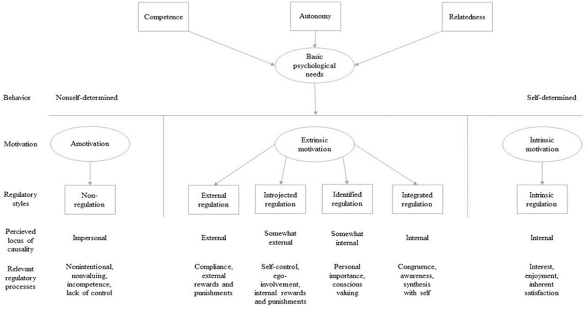 Frontiers | A Motivational Model Explaining Performance in Video Games