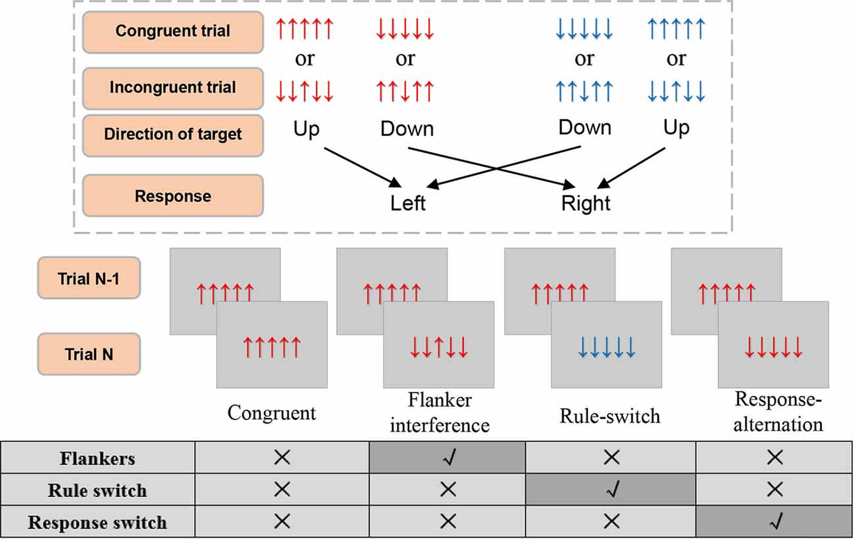 Frontiers | Neural Dynamics of Cognitive Control in Various Types of ...