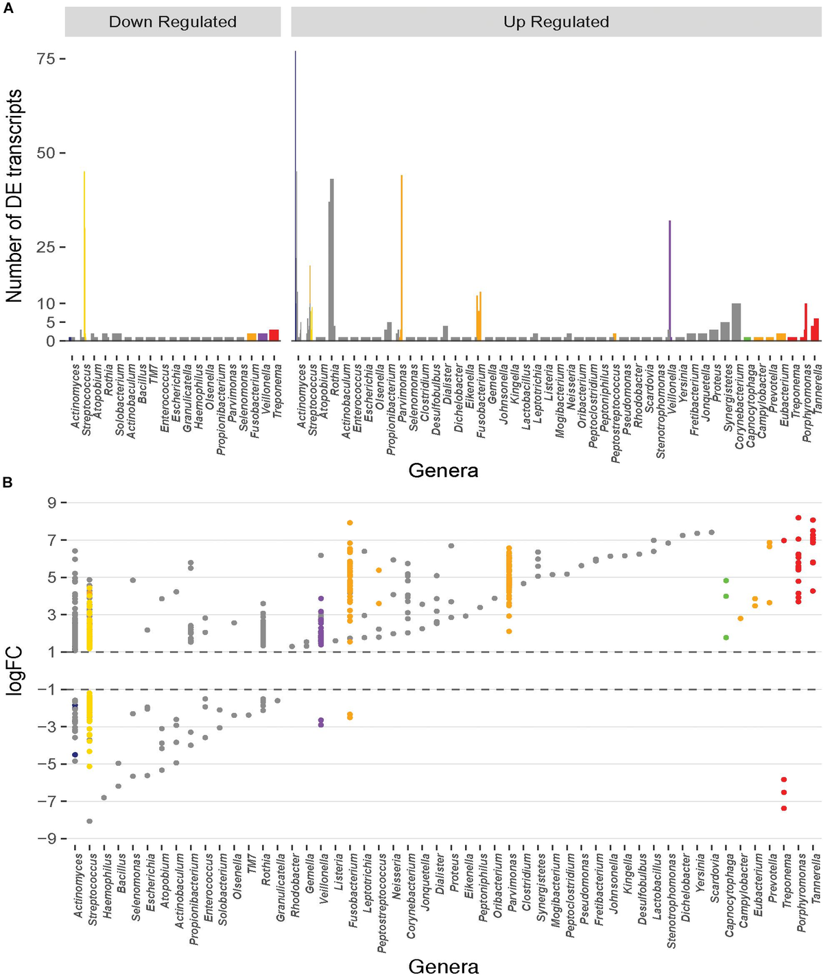 Frontiers | Comparative Metatranscriptomics of Periodontitis Supports a ...