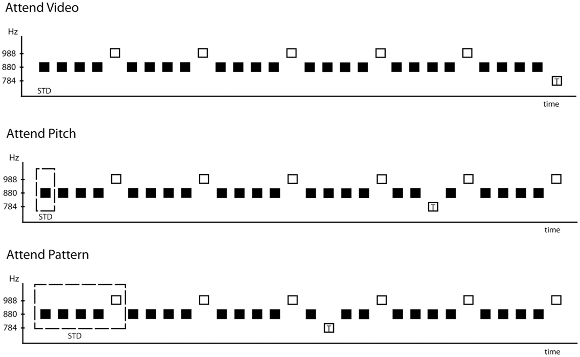 Frontiers | Attention Matters: Pitch vs. Pattern Processing in Adolescence
