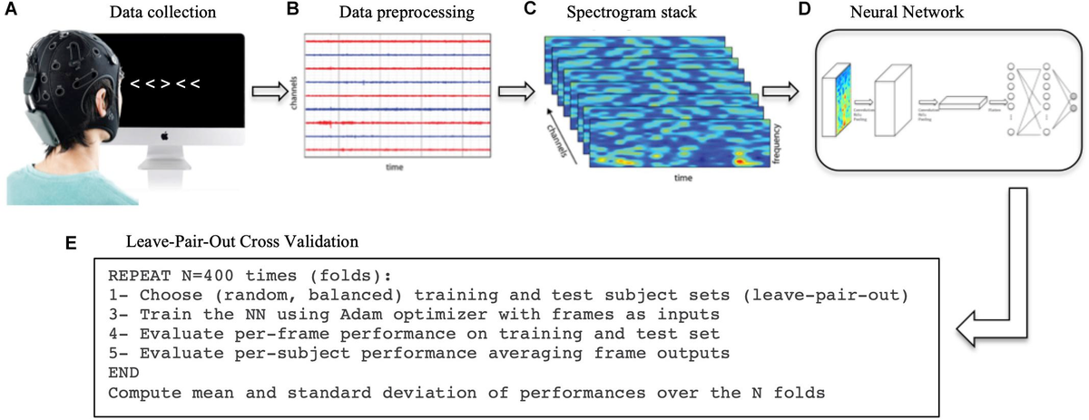 Frontiers | Deep Learning Convolutional Neural Networks Discriminate Adult ADHD From Healthy ...