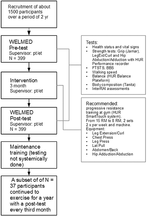 Frontiers | Introducing Progressive Strength Training Program in ...