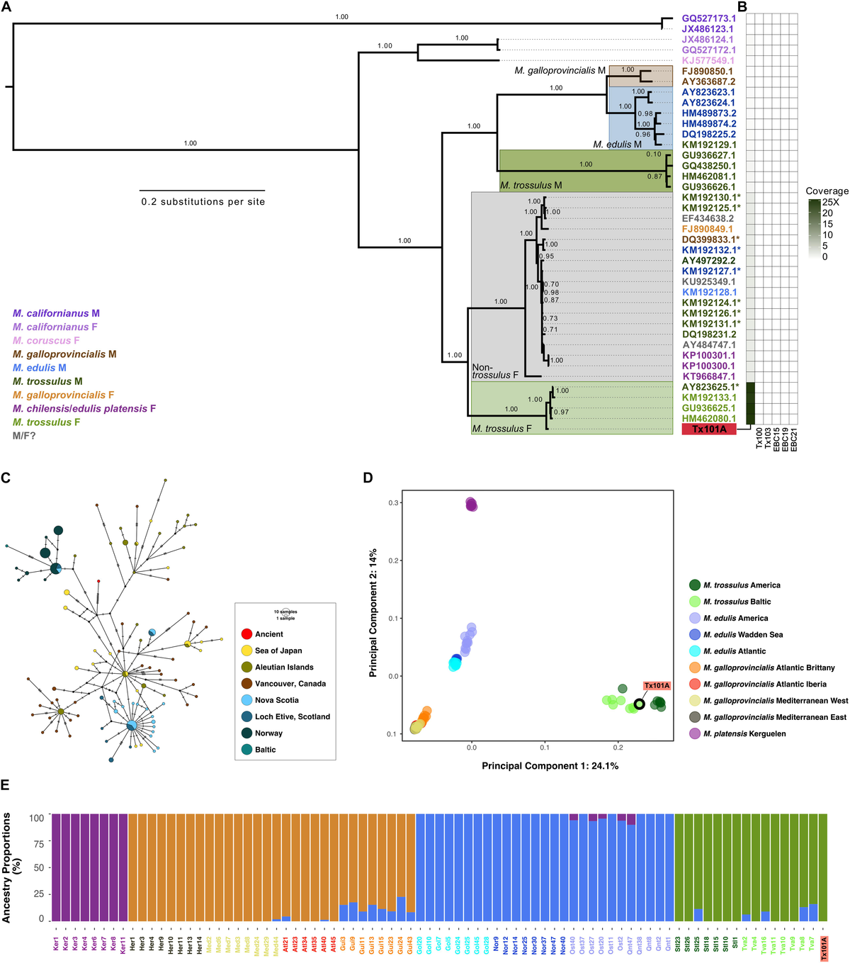 Frontiers | Unveiling the Ecological Applications of Ancient DNA From ...