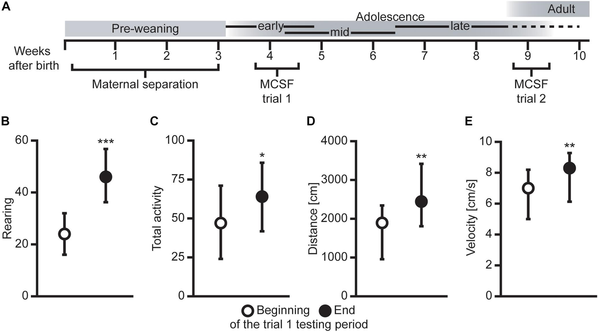 Frontiers | Behavioral Profiling in Early Adolescence and Early ...