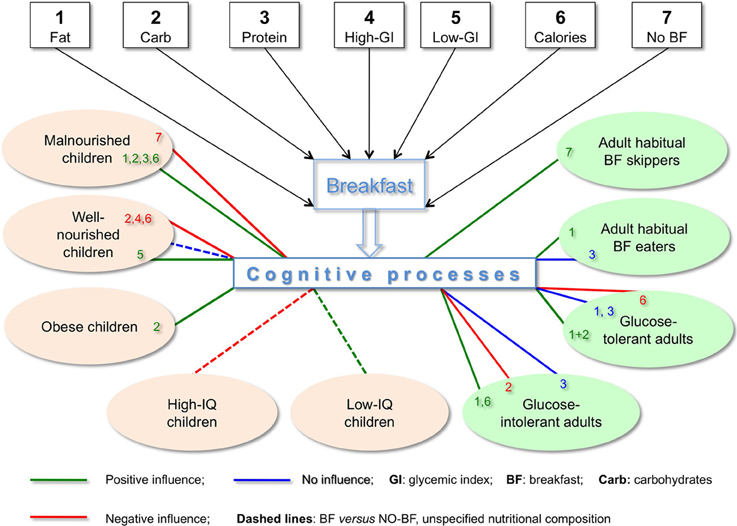 Frontiers | Breakfast and cognition: sixteen effects in nine ...