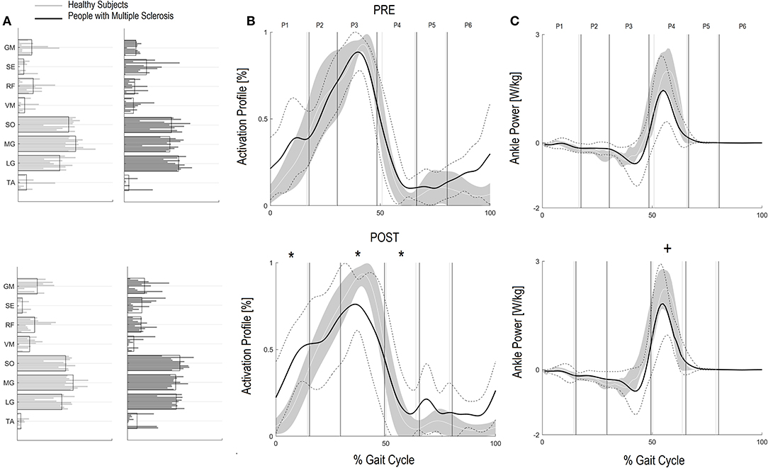 Frontiers | Improved Gait of Persons With Multiple Sclerosis After ...