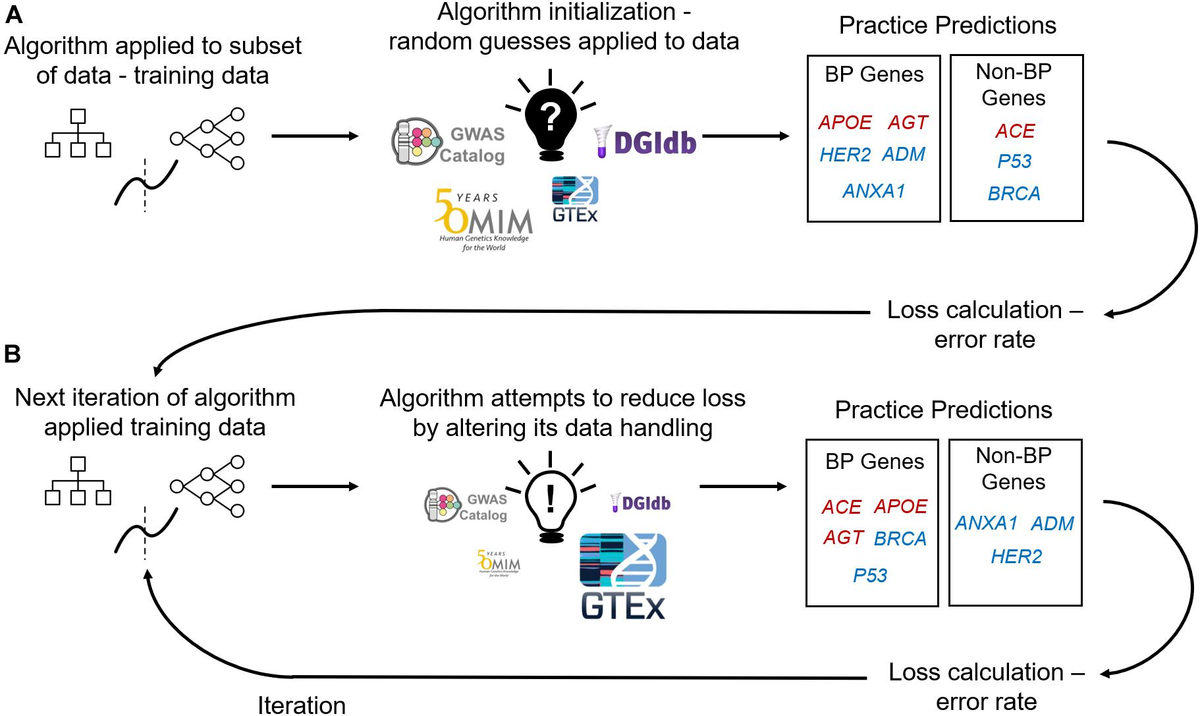 Frontiers | Reaching the End-Game for GWAS: Machine Learning Approaches ...