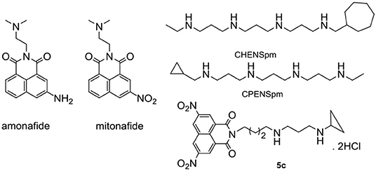 Frontiers | A Polyamine-Based Dinitro-Naphthalimide Conjugate as ...