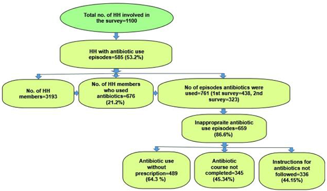 Frontiers | Determinants of Inappropriate Antibiotics Use in Rural ...