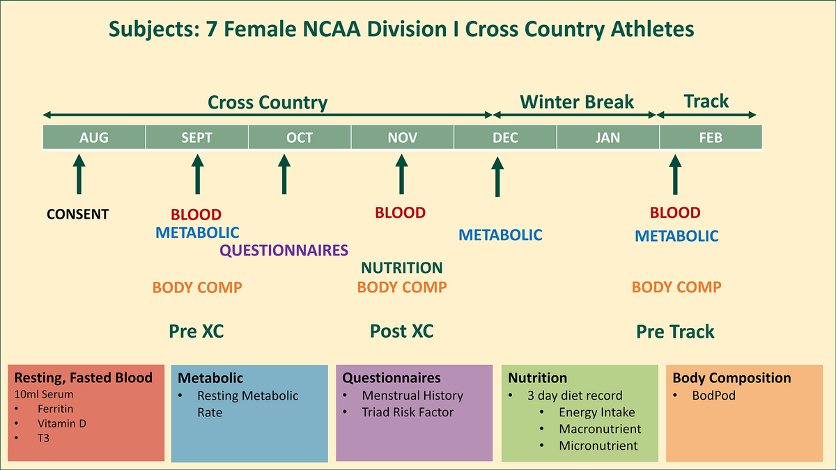 Frontiers | Performance and Health Decrements Associated With Relative ...