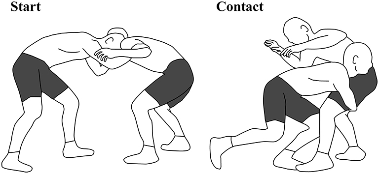 Frontiers | Whole-Body Mechanics of Double-Leg Attack in Elite and Non ...