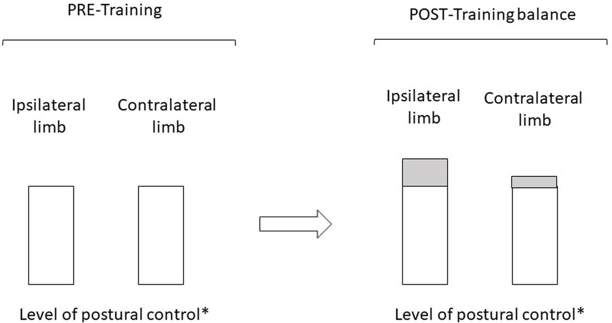 Frontiers | Cross-Education Related to the Ipsilateral Limb Activity on ...