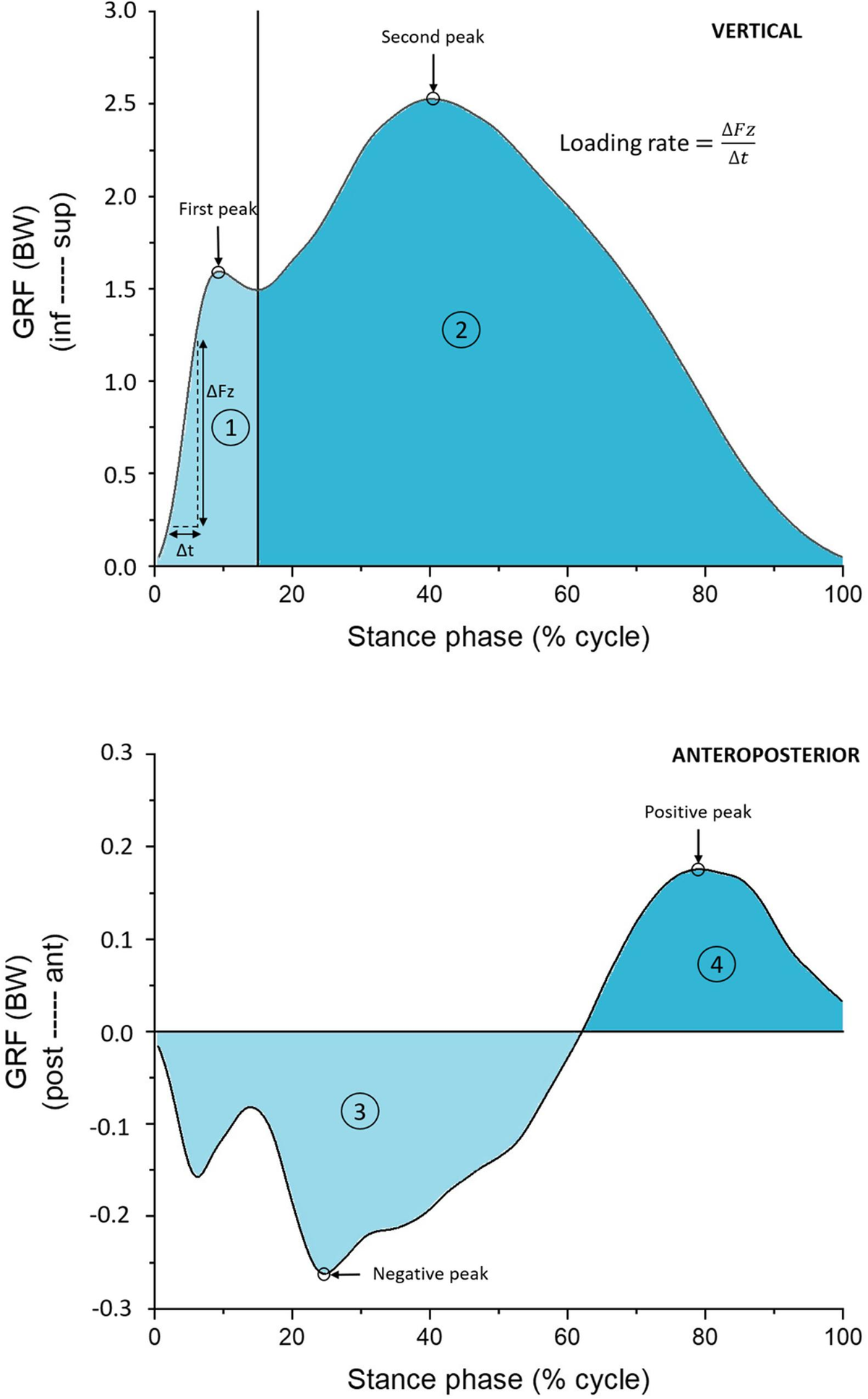 Frontiers | Recognition of Foot-Ankle Movement Patterns in Long ...