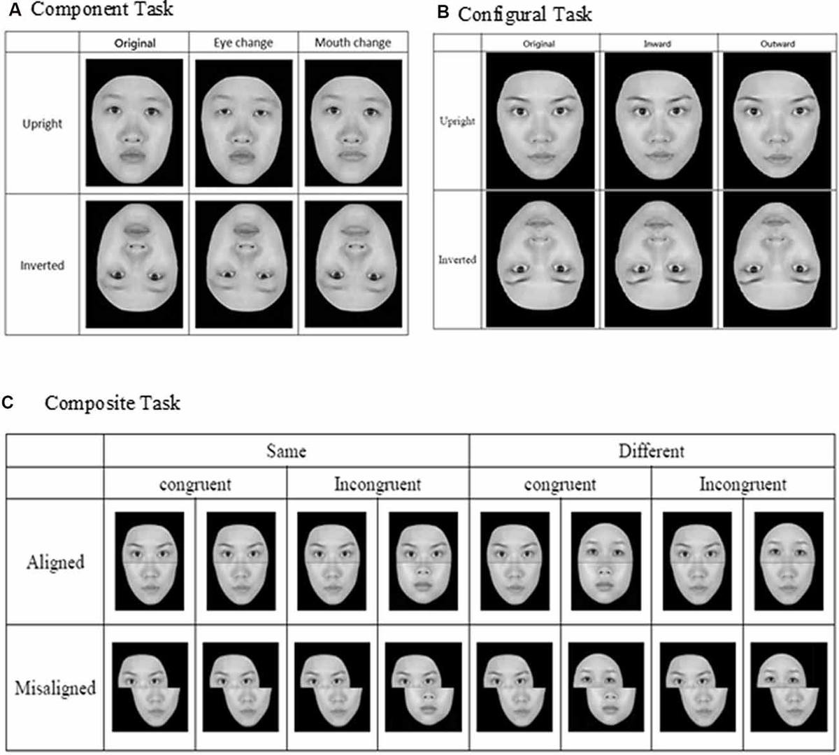 Frontiers | Predicting Performances on Processing and Memorizing East ...