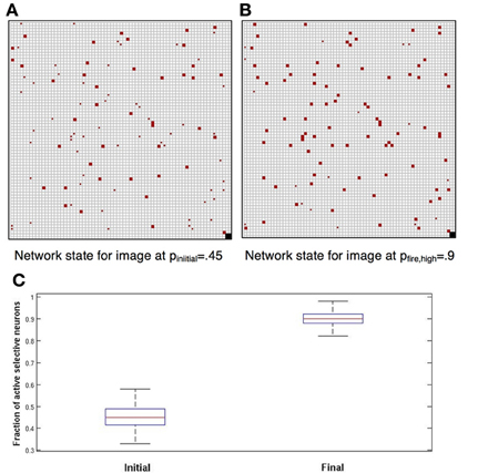 Frontiers | Modeling behavior in different delay match to sample tasks ...