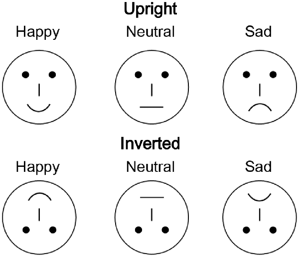 Frontiers | Abnormal Contingent Negative Variation Drifts During Facial ...