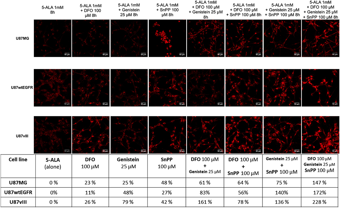 Frontiers | Corrigendum: Quantitative Modulation of PpIX Fluorescence ...