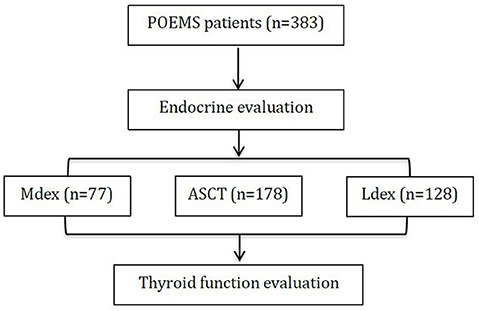 Frontiers | Endocrine Evaluation in POEMS Syndrome: A Cohort Study