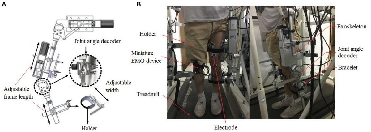 Frontiers | Processing Surface EMG Signals for Exoskeleton Motion Control