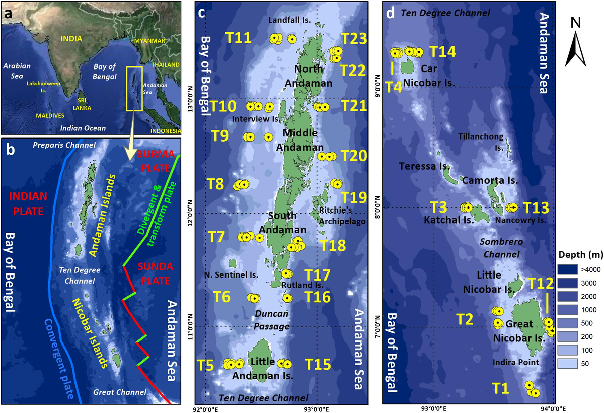 Frontiers | Distinctive Community Patterns With Exceptional Diversity ...