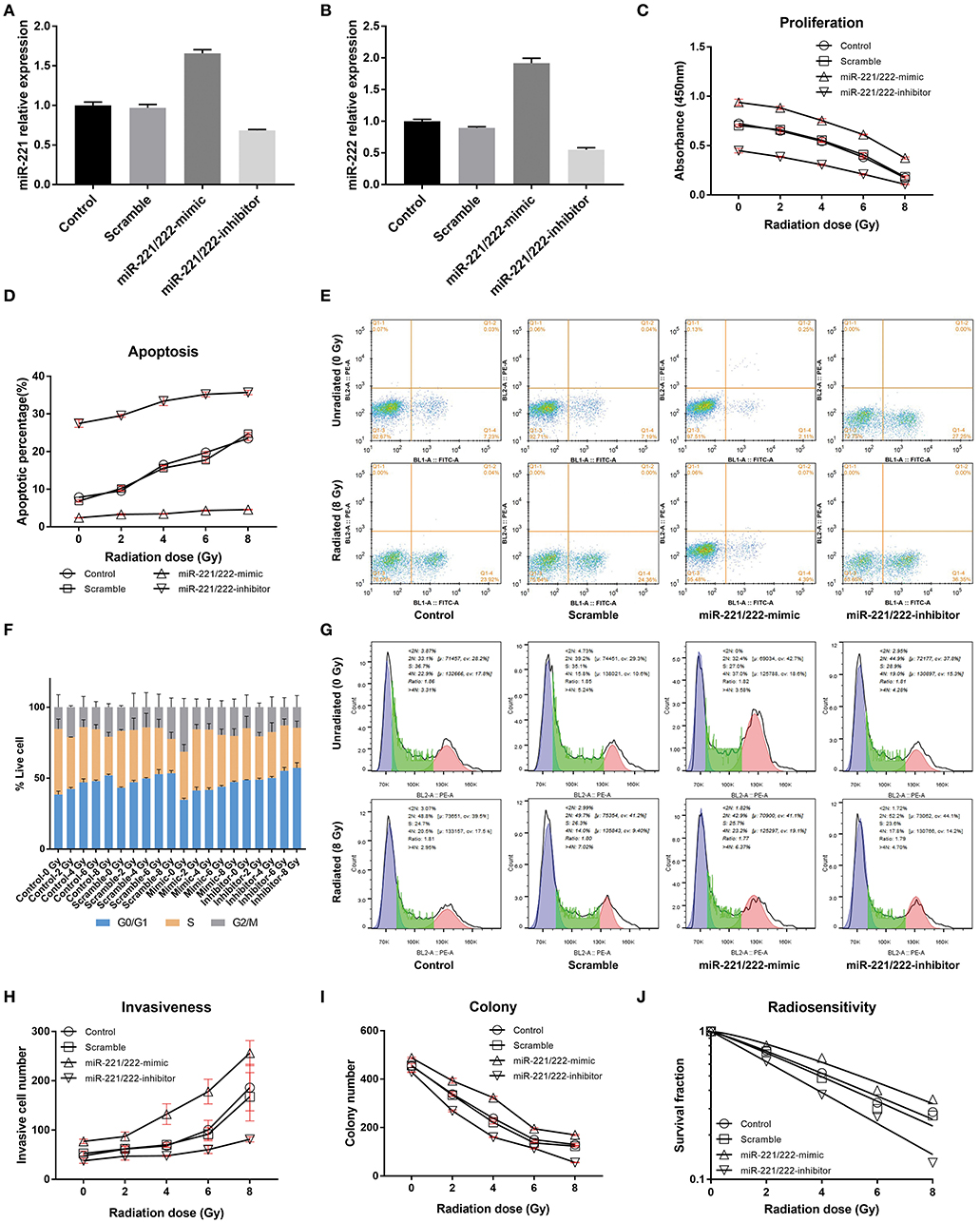 Frontiers Microrna 221 222 Inhibits The Radiation Induced