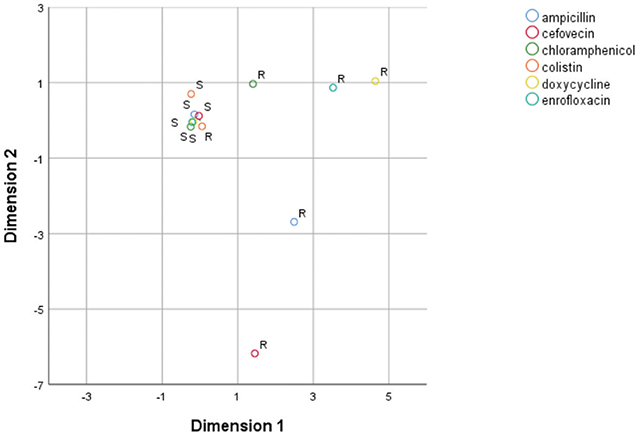 Frontiers | Phenotypic and Genotypic Antimicrobial Resistance in Non ...