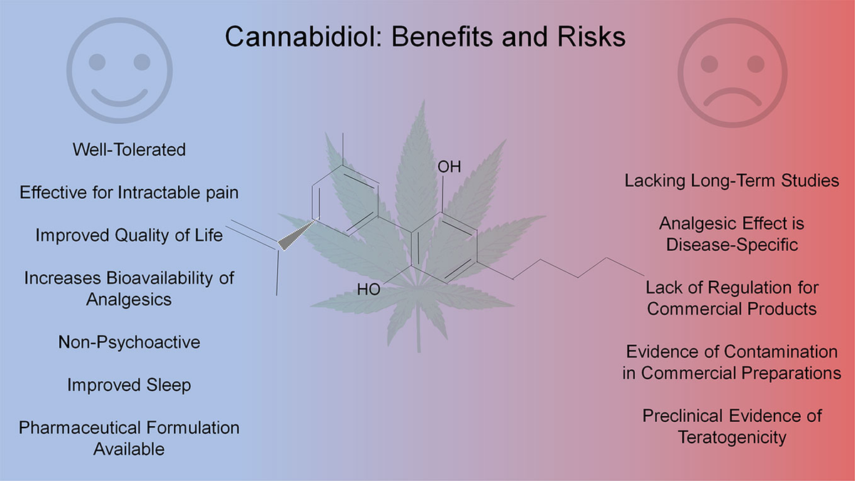 Frontiers | A Balanced Approach for Cannabidiol Use in Chronic Pain